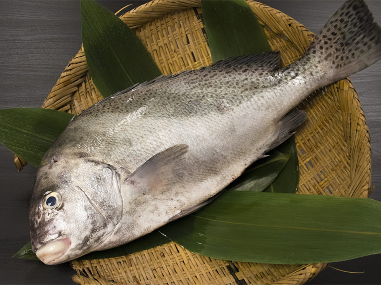 Omakase FishBox – Assorted fresh fish selection - Ocean Boy Co.,Ltd.