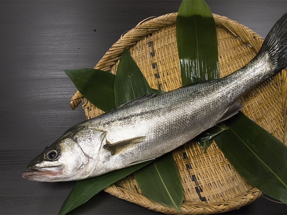 Fish in September - Ocean Boy Co.,Ltd.