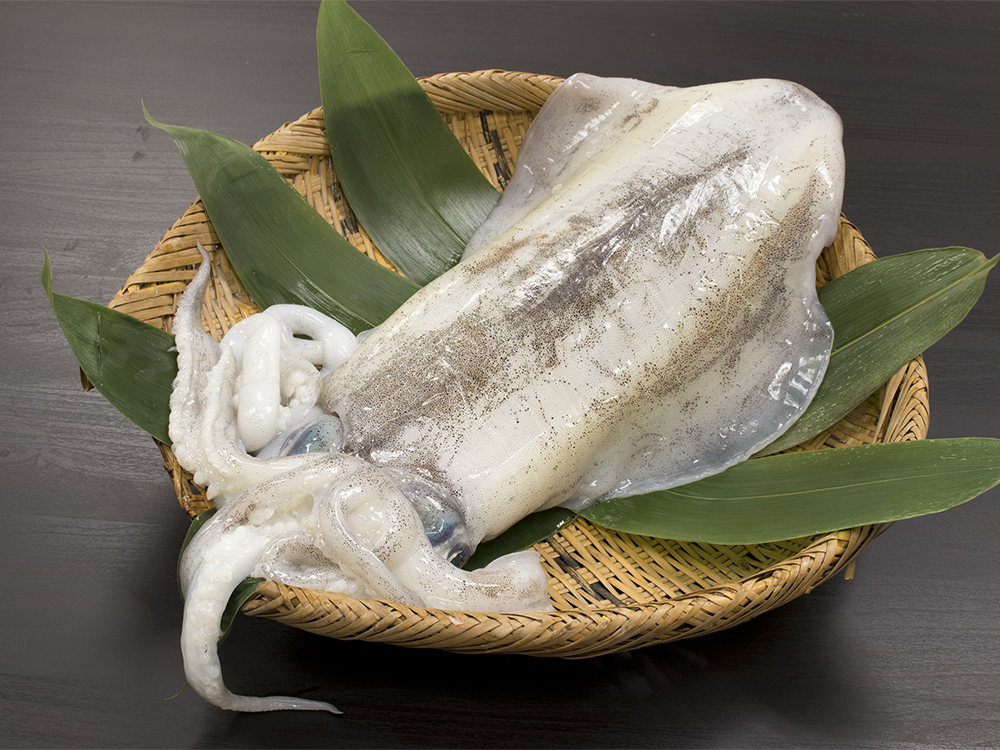 Fish in June - Ocean Boy Co.,Ltd.