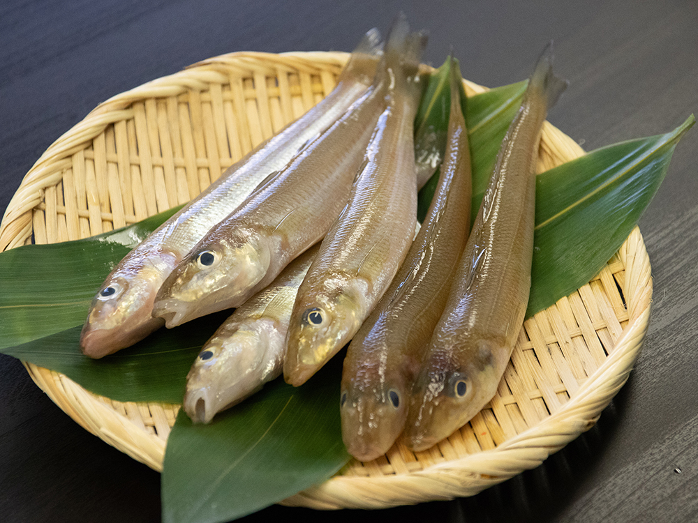 Fish in August - Ocean Boy Co.,Ltd.