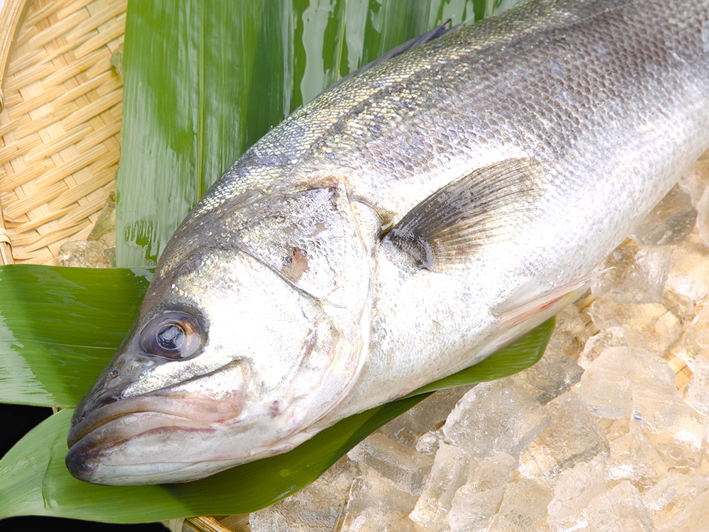 Fish in May - Ocean Boy Co.,Ltd.
