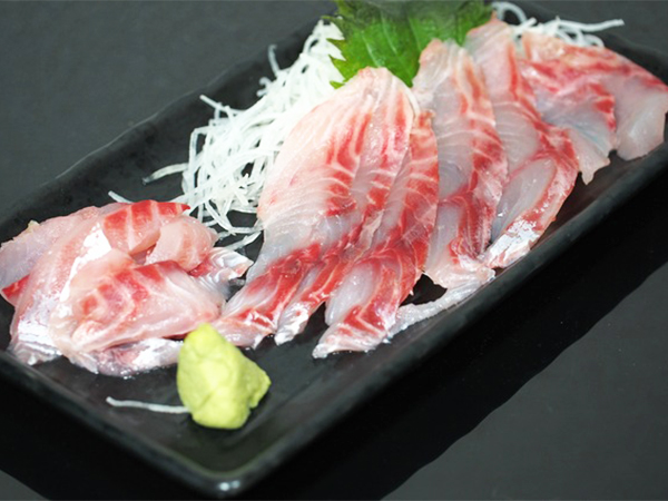 Fish in August - Ocean Boy Co.,Ltd.