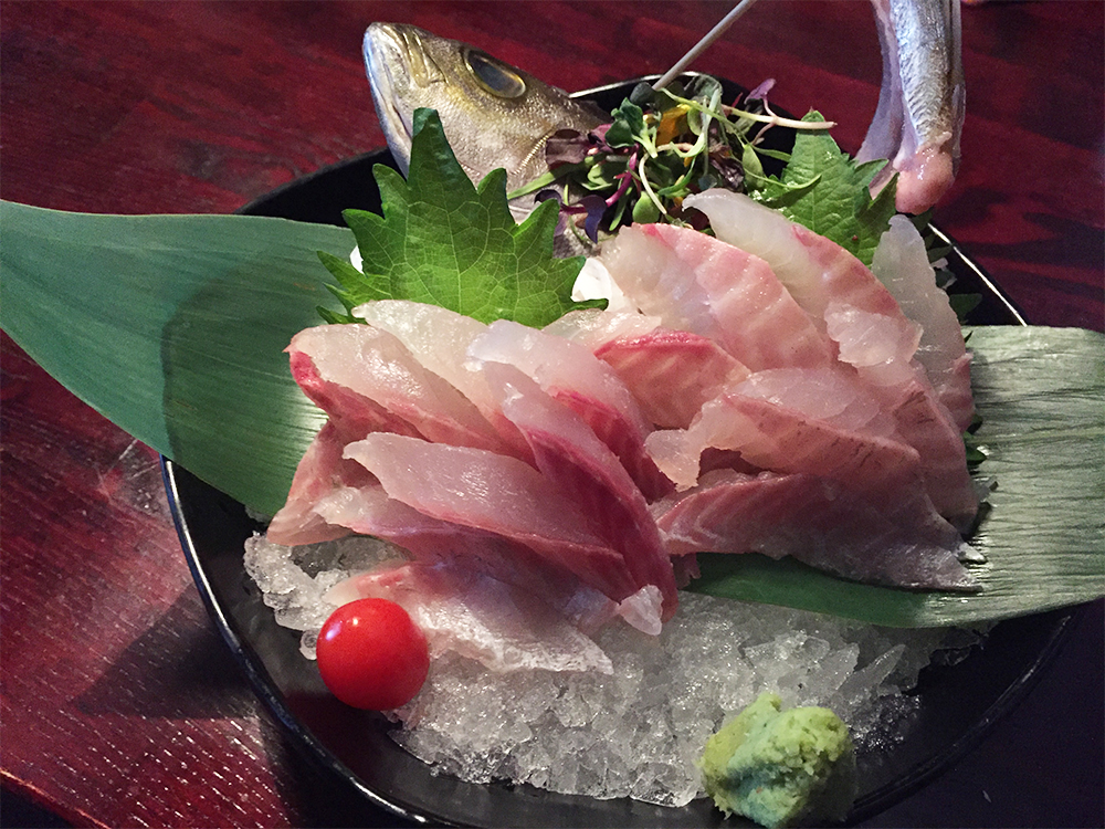 Fish in August - Ocean Boy Co.,Ltd.