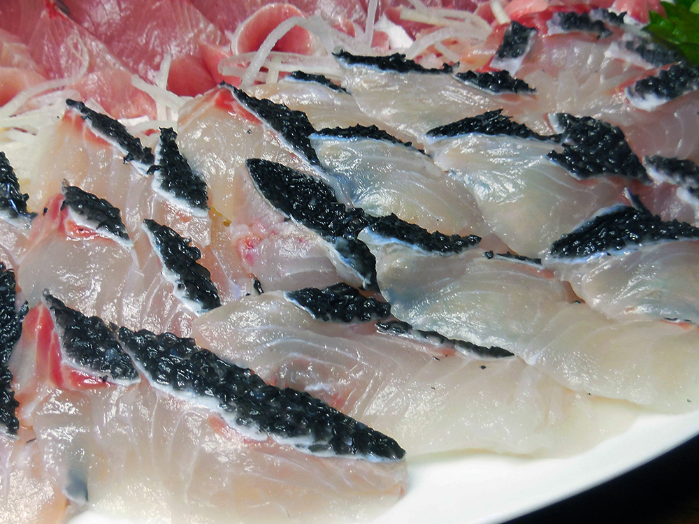 Fish in February - Ocean Boy Co.,Ltd.