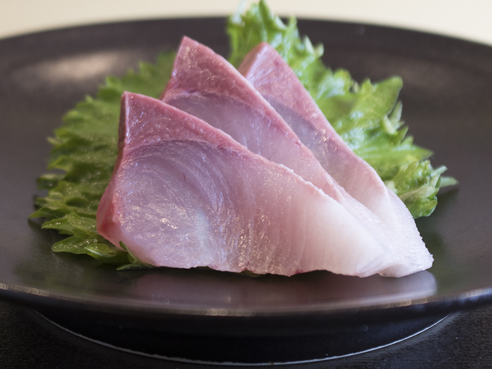 Fish in July - Ocean Boy Co.,Ltd.