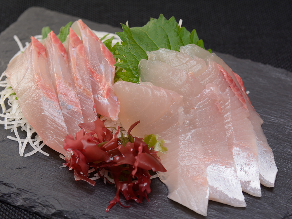 Fish in July - Ocean Boy Co.,Ltd.