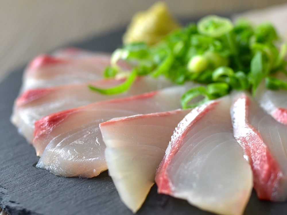 Fish in July - Ocean Boy Co.,Ltd.