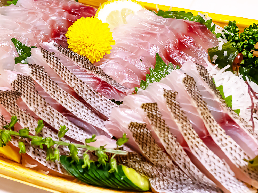 Fish in August - Ocean Boy Co.,Ltd.