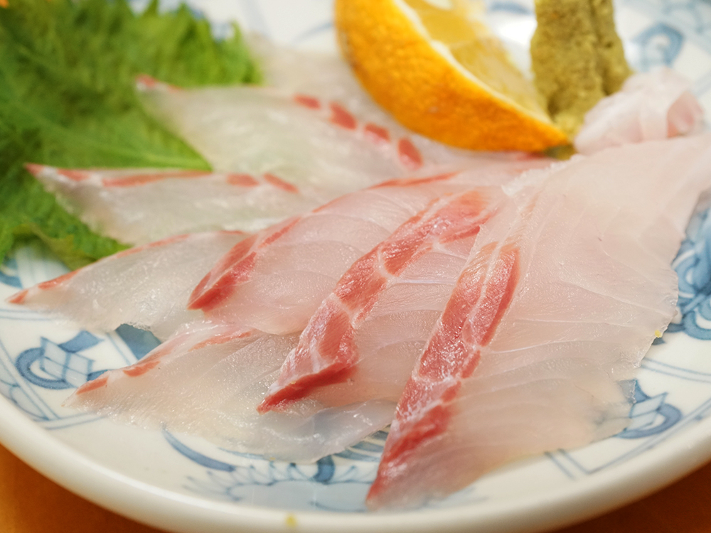 Fish in September - Ocean Boy Co.,Ltd.