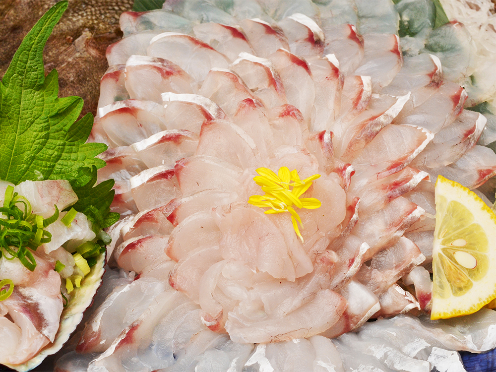 Fish in August - Ocean Boy Co.,Ltd.