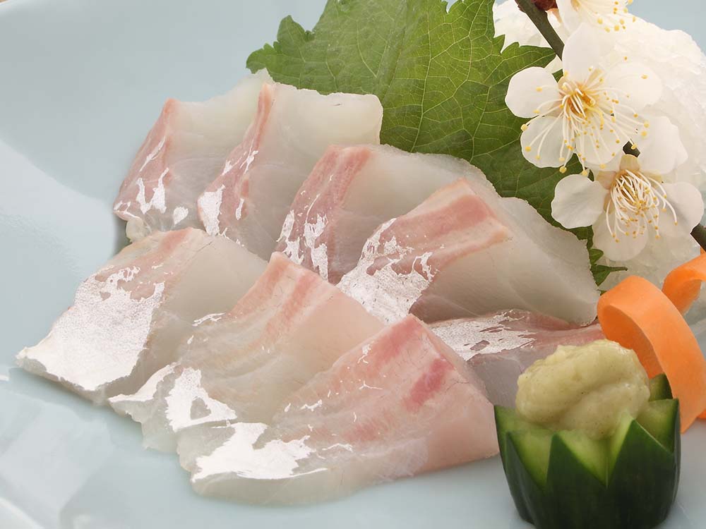 Fish in September - Ocean Boy Co.,Ltd.
