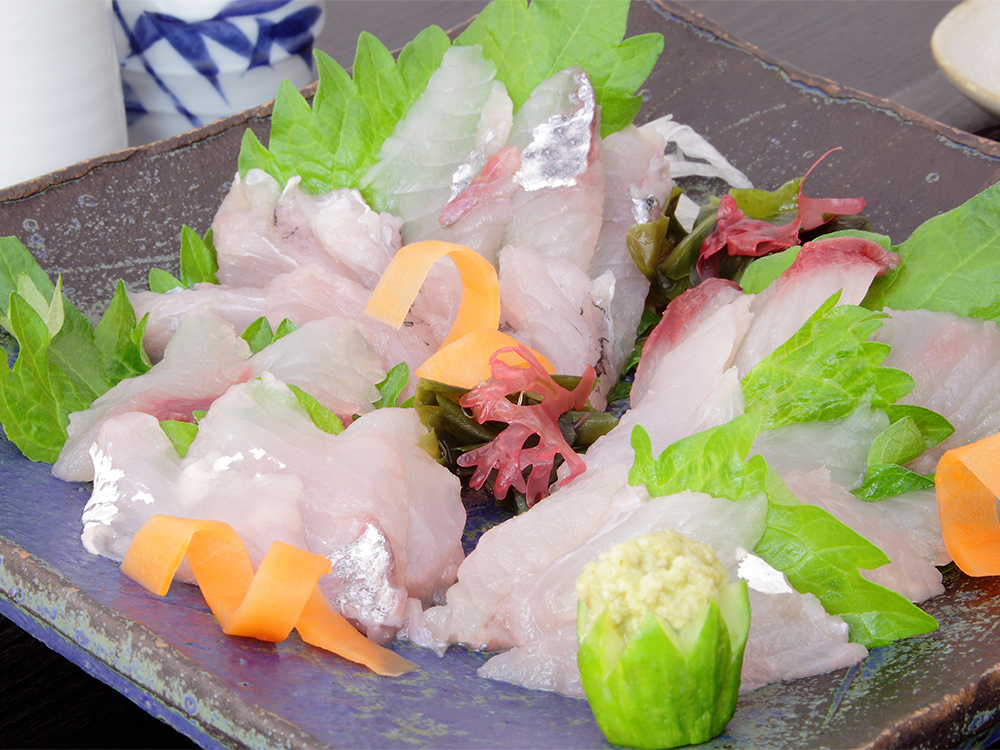 Fish in July - Ocean Boy Co.,Ltd.