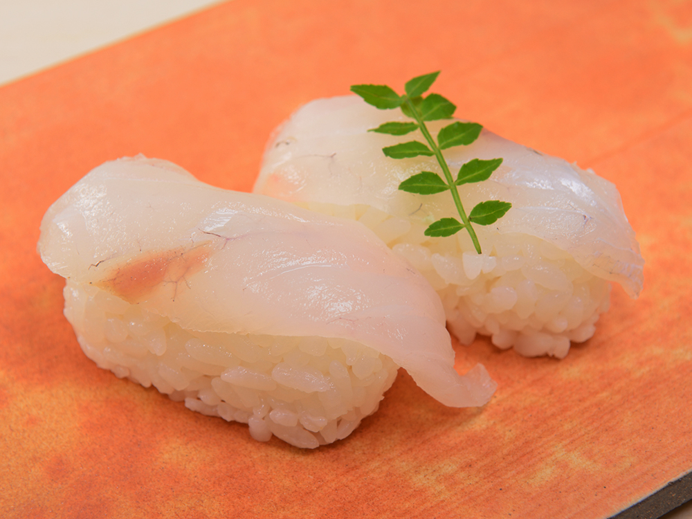 Fish in August - Ocean Boy Co.,Ltd.