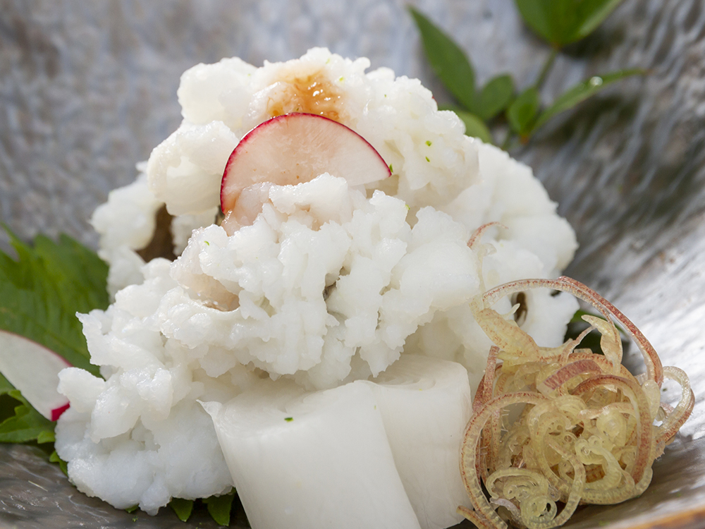 Fish in September - Ocean Boy Co.,Ltd.