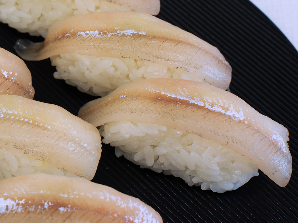 Fish in August - Ocean Boy Co.,Ltd.